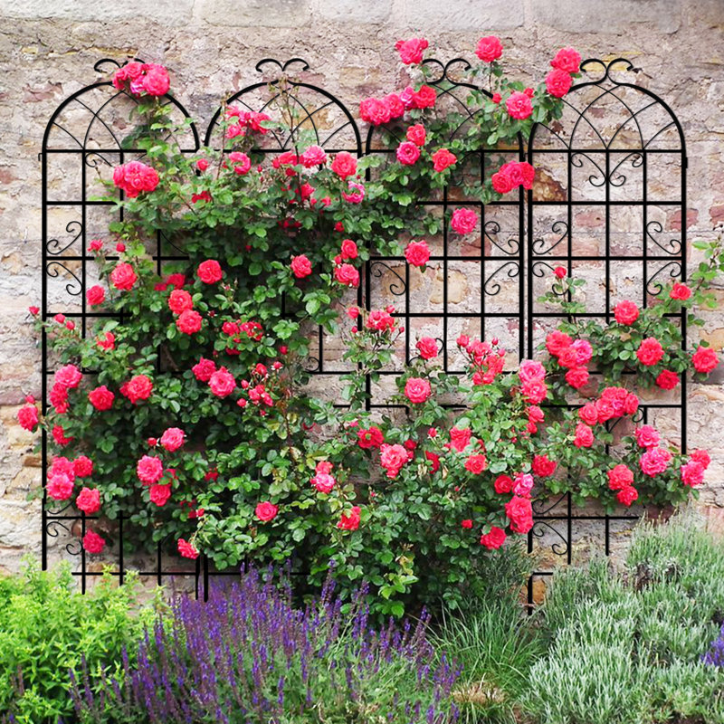 Red Barrel Studio® Alamanda Trellis & Reviews | Wayfair